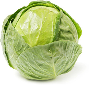 Patta gobi F1 hybrid Cabbage seeds highest yield Verity Seed Price in ...