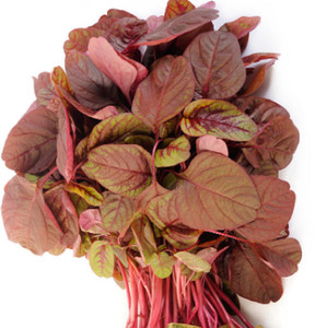 Paudha Amaranthus red Seed Price in India - Buy Paudha Amaranthus red ...
