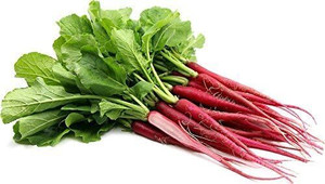 Lorvox Red Long Mooli radish Seed Price in India - Buy Lorvox Red Long ...