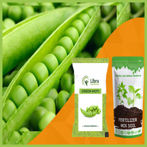 NATURAL AND HERBAL PRODUCTS Vatana Seeds Hybrid | Pea | Pisum Sativum ...