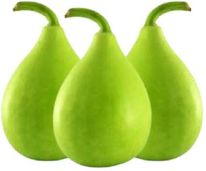 Avysa Round Bottle Gourd, Ghiya Seed Price in India - Buy Avysa Round ...