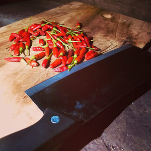 KANAYA Moti Mirch/Pepper Green Hybrid Seed Price in India - Buy KANAYA ...