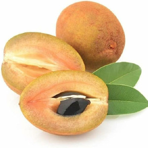 PMA Chalisa Chikoo, Sapota, Sapodilla, Naseberry Seed, Sobeda Hybird ...
