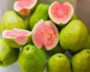 Aywal Red Guava/Amrud/Amrood Fruit Seed Price in India - Buy Aywal Red ...