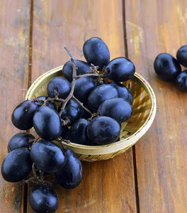 PASCLE Seedless Black Muscat Grepes Seed Price in India - Buy PASCLE ...