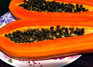 GREENSEA Hybrid Papaya, Papita Seed Price in India - Buy GREENSEA ...
