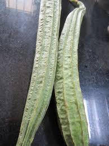 greenfarm Turai seed , tori , ridged gourd seed Seed Price in India ...