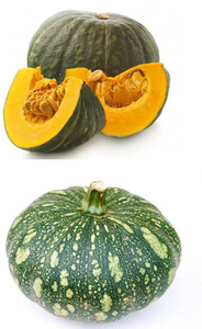 VibeX XLR-91 - Desi Pumpkin Kaddu - (300 Seeds) Seed Price in India ...