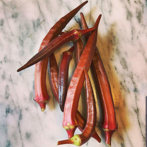 KANAYA Lal Bhindi Red Okra Lady Finger Vegetable Seed Price in India ...