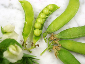 MYLAWN Green Matar Peas Seed Price in India - Buy MYLAWN Green Matar ...