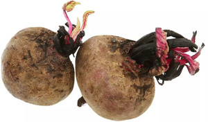 MYLAWN Blood Turnip Mangel Beetroot Garden Seed Price in India - Buy ...