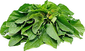 Infintegreen GREEN AMARANTHUS (CHOLAI) Seed Price in India - Buy ...