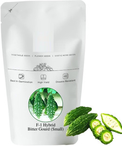 VibeX ® RXI-350 Hybrid Bitter Gourd (Karela) Seeds Seed Price in India ...