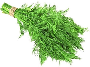 Aywal Fresh Soya Saag F1 Hybrid Vegetable Seed Price in India - Buy ...