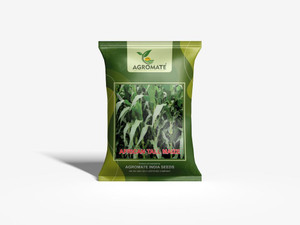 Agromate Fodder Maize, African Tall Maize Seed Price in India - Buy ...