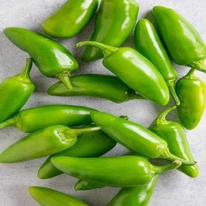 Arshiayat Bullet mirchi seed hybrid chilli Seed Price in India - Buy ...