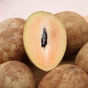 PMA Chalisa Chikoo, Sapota, Sapodilla, Naseberry Seed, Sobeda Hybird ...