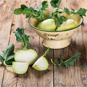 WILLVINE Hybrid Early White Vienna Kohlrabi (Brassica oleracea)-1250 ...