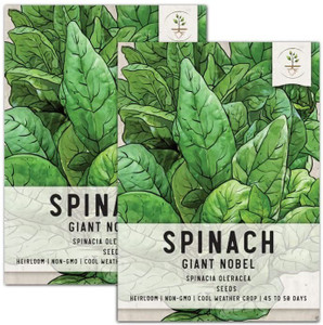 VibeX ® XXL-198 Giant Nobel Spinach Seeds Seed Price in India - Buy ...