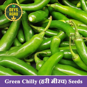 DEYS AGRO ™ CW-6807 f1 hybrid green chilli seeds, mirch| achari mirch ...