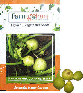 FARMGO |5 Gms CHAPPAN KADDU SEEDS |for Home Gardening, Farming and ...