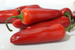 CYBEXIS Fast Germination Red Jalapeno Hot Chili Pepper Seeds1000 Seeds ...