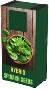 VibeX ® VXI-710 Hydroponics Spinach seeds Seed Price in India - Buy ...