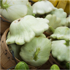 Biosnyg HUA-18 Early White Scallop Summer Squash (Cucurbita pepo)-[100 ...