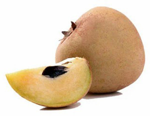 PMA Chalisa Chikoo, Sapota, Sapodilla, Naseberry Seed, Sobeda Hybird ...