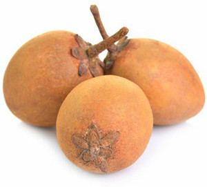 SREE Chalisa Chikoo, Sapota, Sapodilla, Naseberry Seed, Sobeda Hybird ...