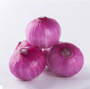 WATIKA Organic Onion Pyaj Seed Price in India - Buy WATIKA Organic ...