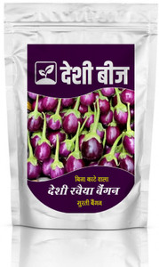 Desi Beej Desi Gulabi Baingan,Purple Brinjal,Surati Baingan,Ravaiya ...
