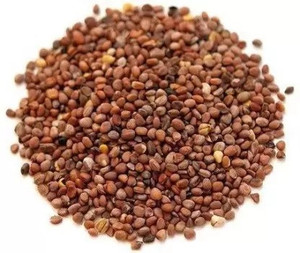 MAA Radish, Muli Seed Price in India - Buy MAA Radish, Muli Seed online ...