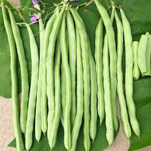 naturehils Cowpea Seeds, CW18 Pure Organic Hybird, Black-eye Pea ...