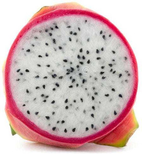 Oliver dragon fruit seeds Seed Price in India - Buy Oliver dragon fruit ...