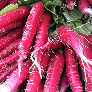 Aywal Radish - Long Mooli Hybrid Vegetable Seed Price in India - Buy ...