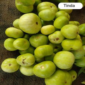 voorkoms Tinda Seeds: Grow Fresh and Nutritious Round Gourds at Home ...