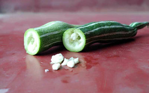 EVERSEED (Chichinda) Snake gourd Vegetable Seed Price in India - Buy ...