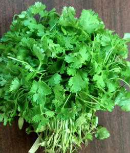 CRGO CORIANDER , HARA DHANIYA Seed Price in India - Buy CRGO CORIANDER ...