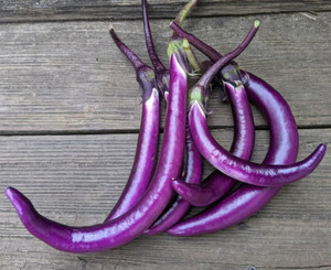 Caliber Chinese String Eggplant Seed Price in India - Buy Caliber ...
