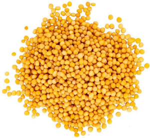 ANDARISTORE Yellow Mustard / Sarsoo Seeds yellow / Peeli Sarsoo / rai ...