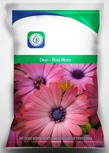 CYBEXIS Daisy - Rose Mixed Flower Seeds Seed Price in India - Buy ...