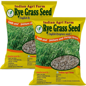 IAgriFarm Rye Grass Seed - 2 Kg - Perennial Ryegrass, Fast Growing ...