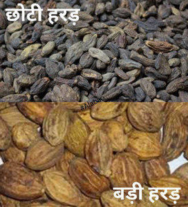 Aromatic Badi Harad, Choti Harad, Haritaki Seed Price in India - Buy ...