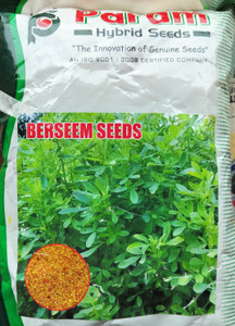 HYBRID 1kg barsim seeds very testy and green grass seeds Seed Price in ...