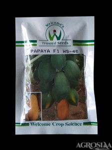 WELCOM WS 46 Papaya F1 Hybride Seed Seed Price in India - Buy WELCOM WS ...