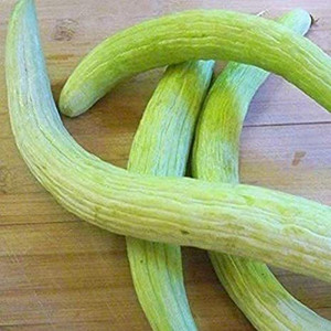 VibeX ® XLR-15 Armenian Yard-Long Melon Cucumber Seed Price in India ...