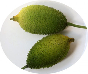 VibeX Summer Vegetable Spiny Gourd Kantola Kakrol[250 Gms, 1250 Seeds ...