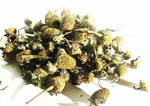 Urancia Akarakara Phool Para Cress Akkal Kara Acmella oleracea 100gm ...