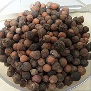 EasySeeds White Sandalwood, Srigandham, Chandanam, Safed Chandan Seed ...